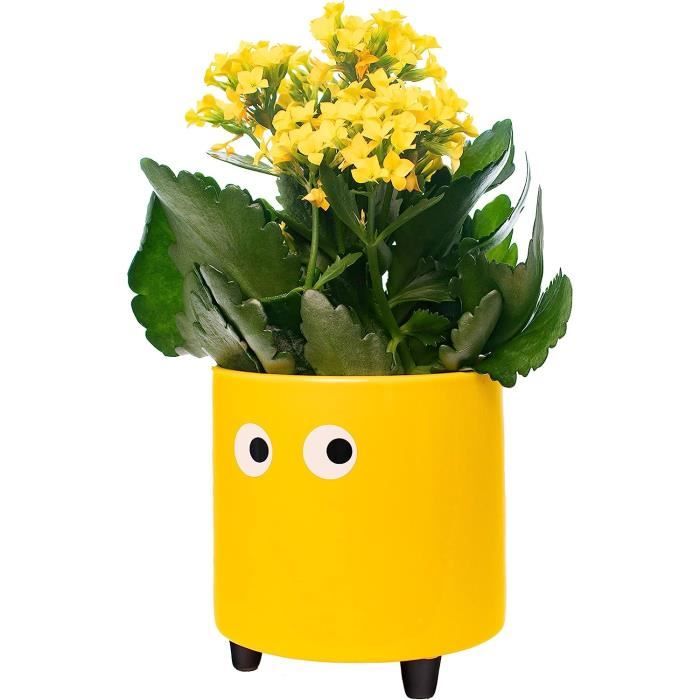 Pot De Fleurs Original Avec Motif D'Œil. Pot De Fleurs Et De Plante Décoratif. Jardinière ...