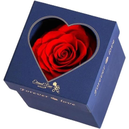 Rose Eternelle Avec Bijoux - Fleur Eternel Collier Argent Rouge Cadeau ...