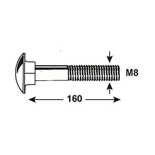 Connex Vis à tête bombée m8 x 160 mm, galvanisées, din 603, 1000 g ...