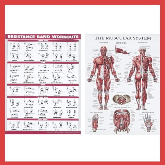 Affiche d'entraînement - DILWE - Set de Posters Musculation - 2 Posters ...