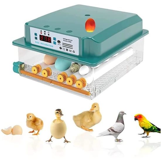 Incubateur Automatique De œufs, Couveuses Automatique 24 œufs ...