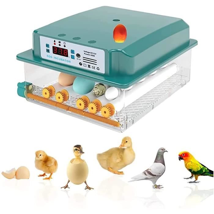 Incubateur Automatique De œufs, Couveuses Automatique 24 œufs ...