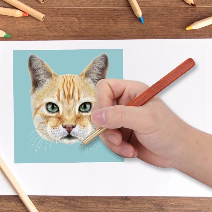 TMISHION stylo à gratter vierge 1Pc Cheveux Peinture Scratch Pen Bois ...