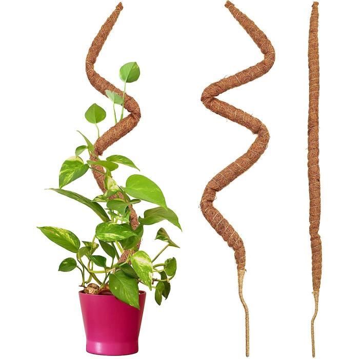 115 CM Tuteur Plante Grimpante Pliables pour Plantes Grimpantes ...