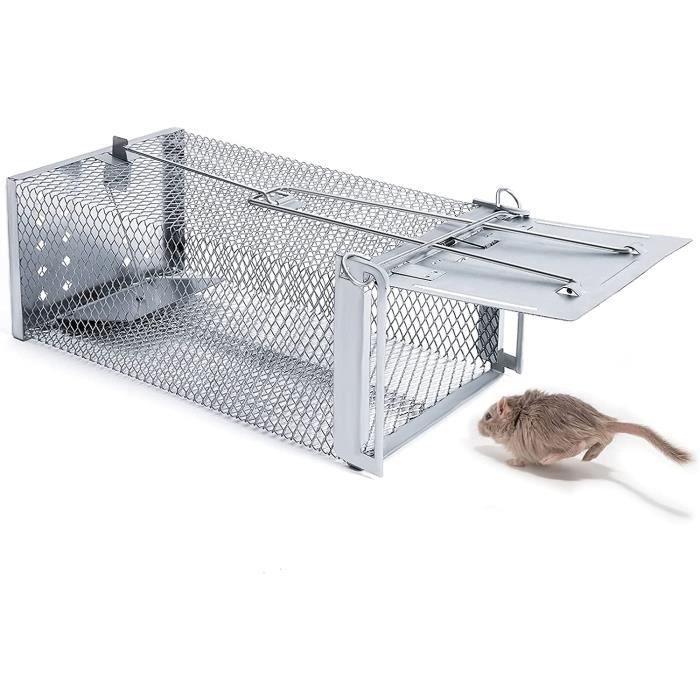AJW-Piège à Souris Vivant Piège à Rats Humains pour Souris et Rats ... AJW-Piège à Souris Vivant Piège à Rats Humains pour Souris et Rats ...