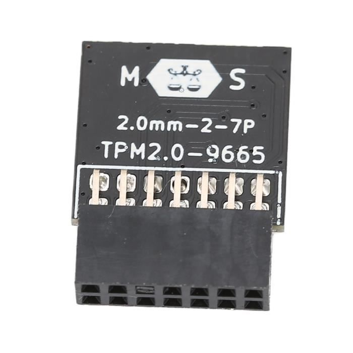 Duokon puce TPM Module TPM 2.0 LPC 14 broches Tpm 2.0 Module de ...
