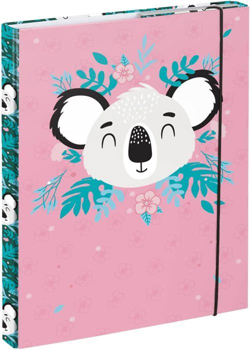 Boîte De Classement Pour Cartable A4, Pour Enfants, Avec Élastique Et ...