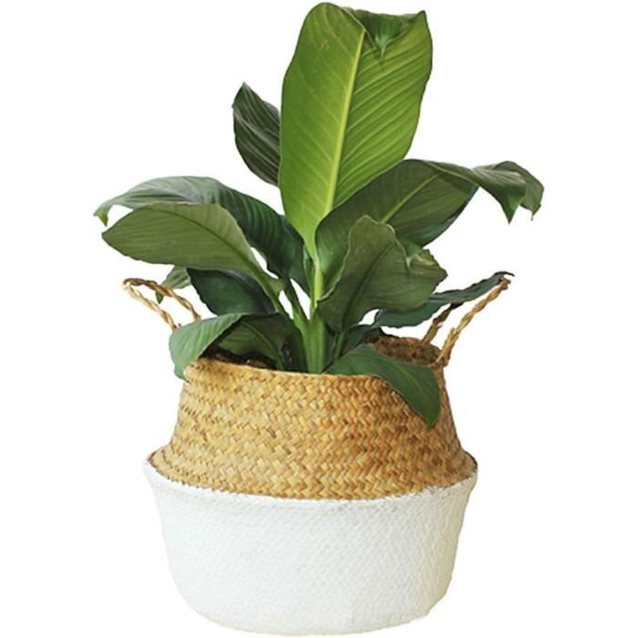 Cache Pot Osier Panier De Rangement En Osier En Plein Air Des Pots De ...