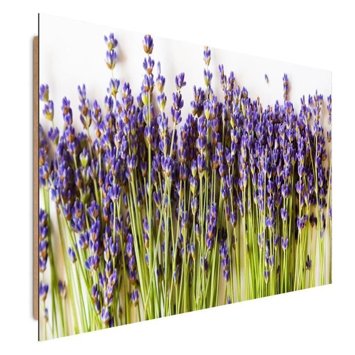 Tableau Deco panel mural imprimé 40x50 PHOTO NATURE FLEURS LAVANDE ...