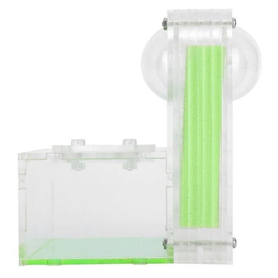 Boîte d'élevage de fourmis en acrylique, boîte d'élevage de fourmis ...