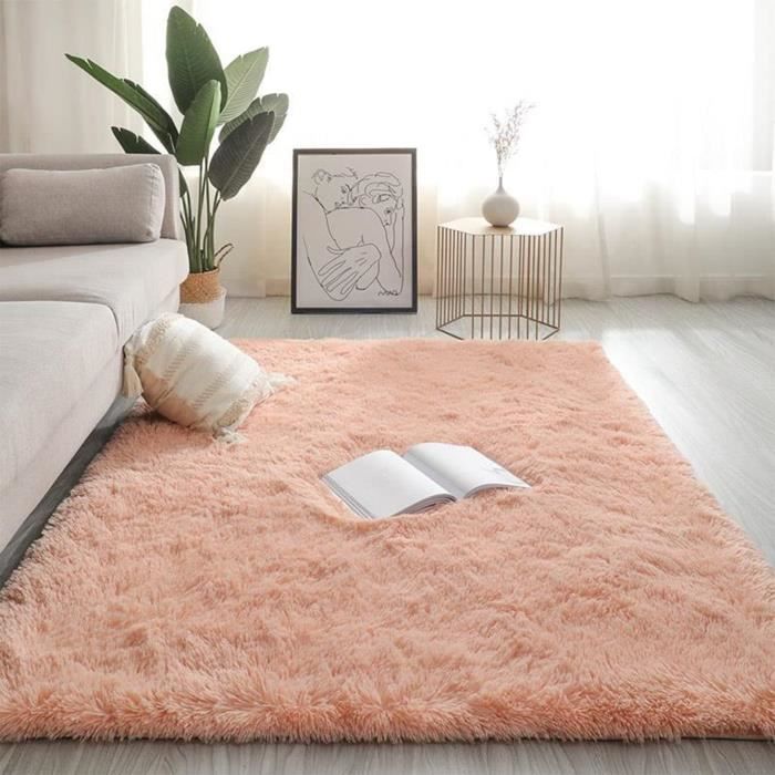 Tapis Salon À Poils Longs - Shaggy Tapis Moderne Design - Grand Tapis Lavable Avec Le Fond ...