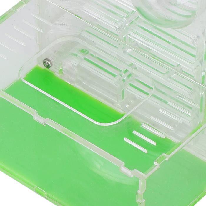 Boîte d'élevage de fourmis en acrylique, boîte d'élevage de fourmis ...