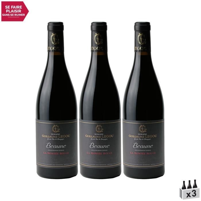 Beaune Montée Rouge Rouge 2020 - Lot de 3x75cl - Domaine Guillaume ...