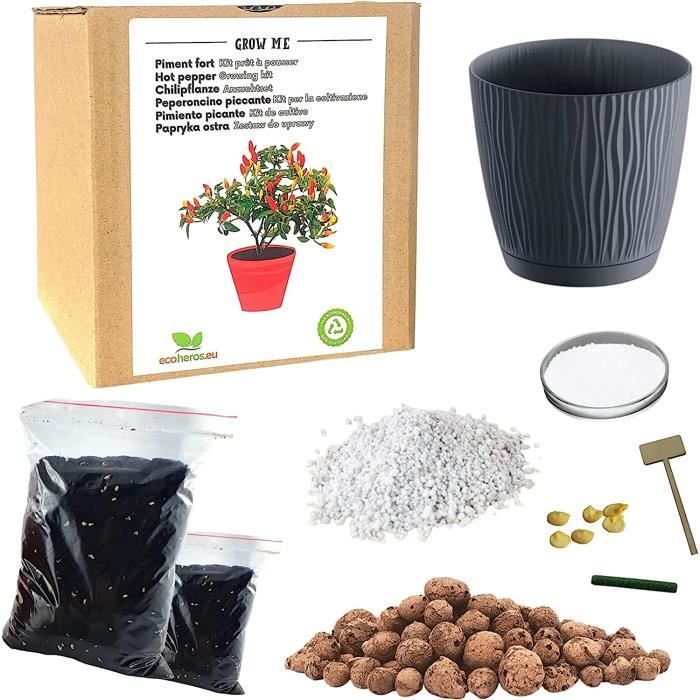 WEYE-Kit Prêt à Pousser Mini Piment | Piment Fort à Semer en Interieure ...
