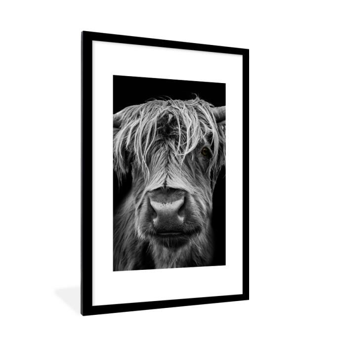 Cadre Photo - MuchoWow - Portrait - 60x90 cm - Highlander écossais ...