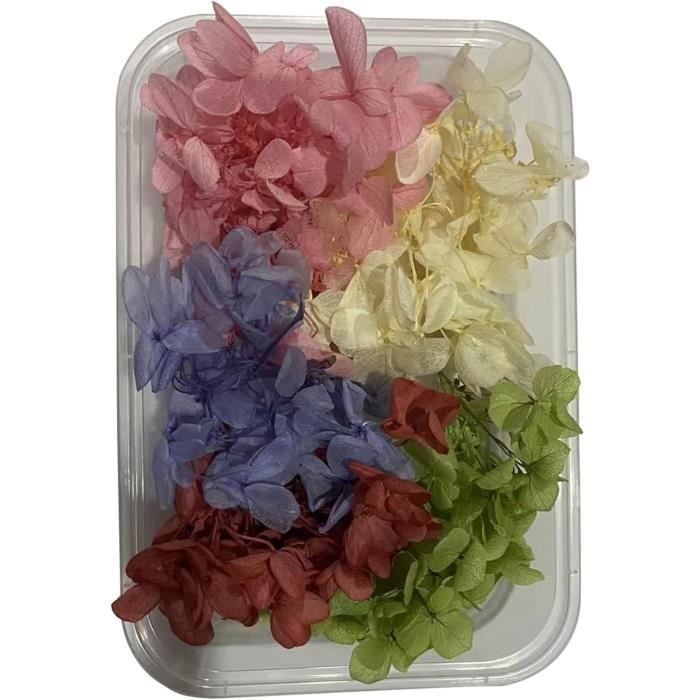 Fleur Séchée Douce Esthétique Eco-Friendly Visual Effet Natural Diy ...