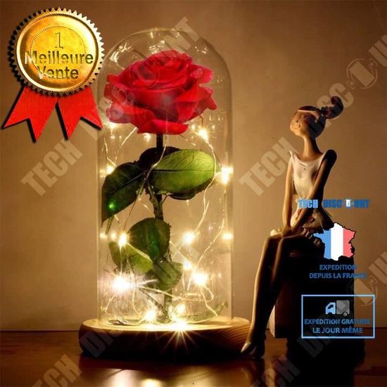 Rose Éternelle - TECH DISCOUNT - Sous cloche en verre - LED lumineux ...