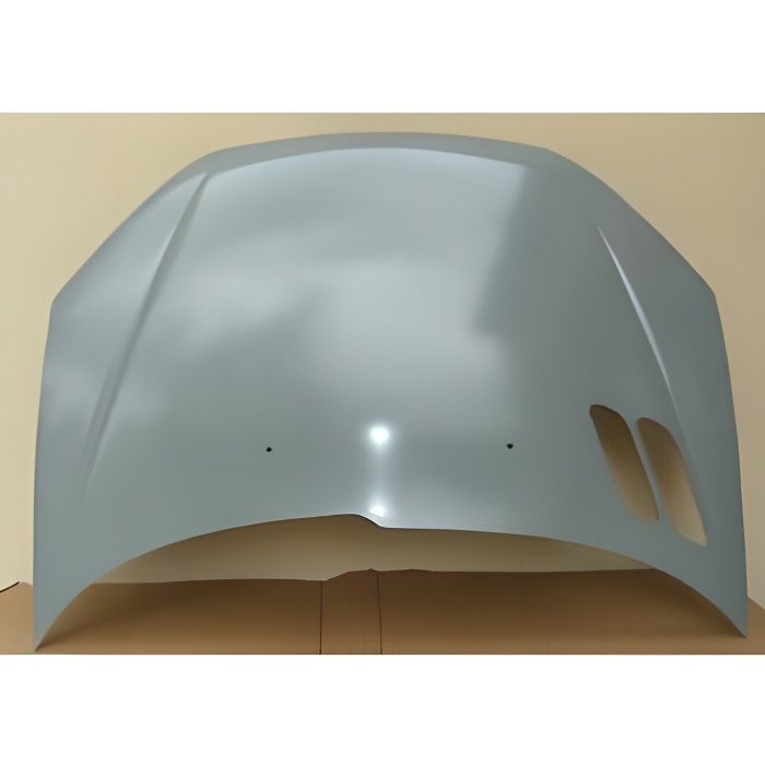 Capot 206 Gris d’occasion | Plus que 4 exemplaires à -70%