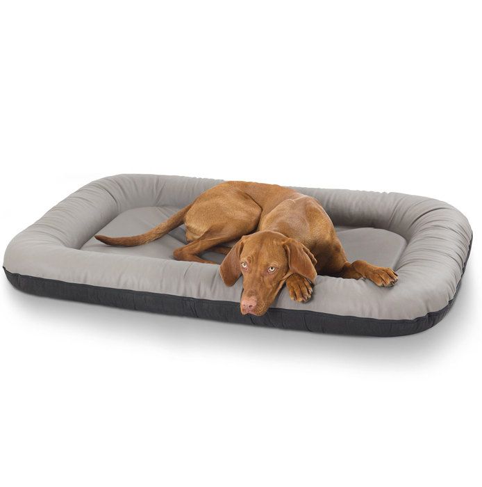 Knuffelwuff Jerry, Panier, Lit, Coussin, Corbeille pour chien, en ...