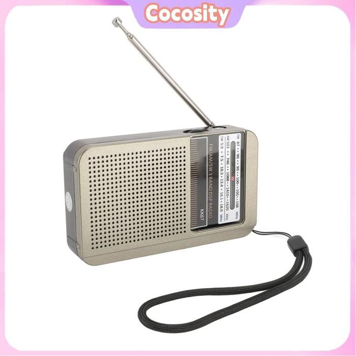 Radio AM FM SW Portable, Mini Radio avec Batterie Rechargeable 1000mAh ...