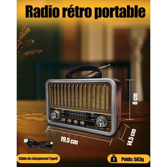 Poste Radio Portable, AM/SW/FM Petite Radio Vintage, Transistor Radio a ...