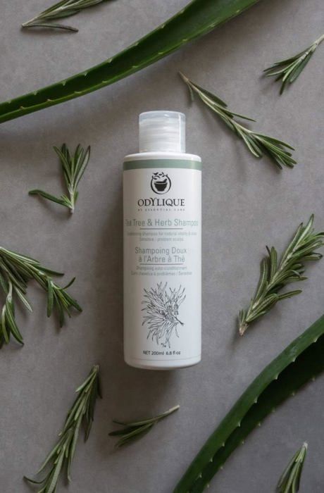 Shampoing Doux à L' Arbre à Thé Bio 200ml Shampoing Anti Démangeaison ...