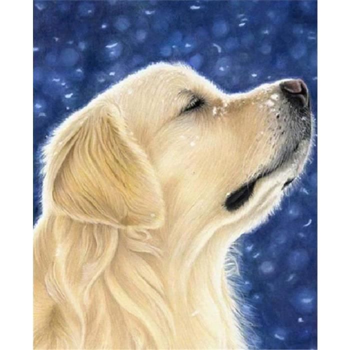Diamond Painting Bricolage 5D Pleine Perceuse Golden Retriever Chien ...