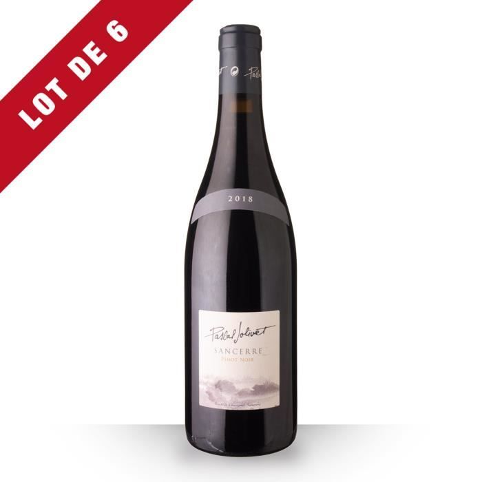 Lot de 6 - Pascal Jolivet 2018 AOC Sancerre - 6x75cl - Vin Rouge - La ...