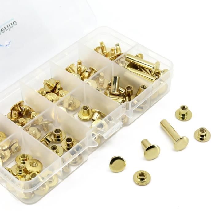 KLEBERINO Boîte d'assortiment de 100 vis de reliure, 5 tailles, rivets ...