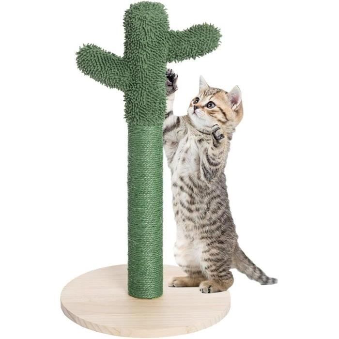Griffoir Cactus Arbre Forme Plante Pour Chats Animaux Félins Couleur ...
