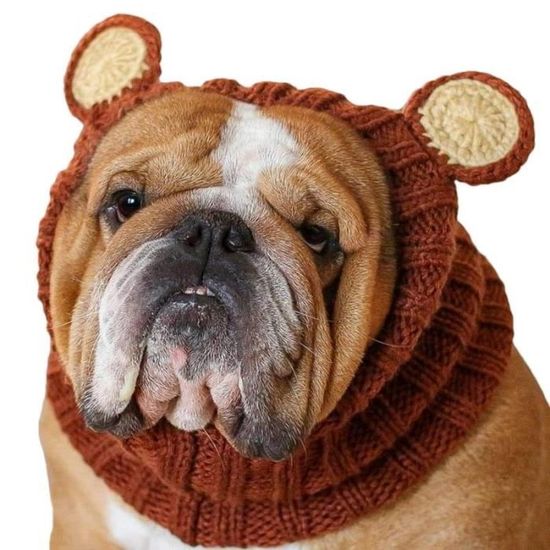 Hiver ours brun coupe-vent chien chapeau animaux tricot chapeau couvre ...