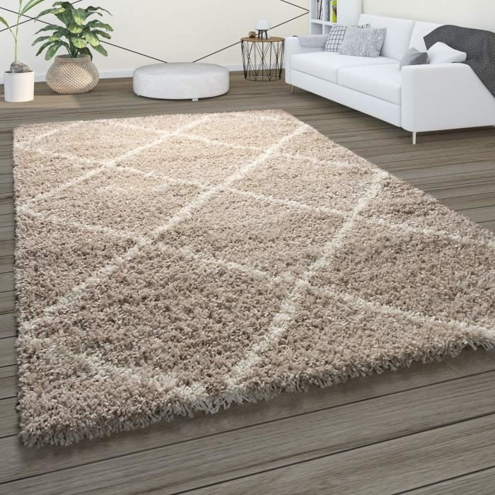 Tapis À Poils Longs, Shaggy Doux Salon Style Scandinave Avec Motif Losanges, Dimension:160X220 ...