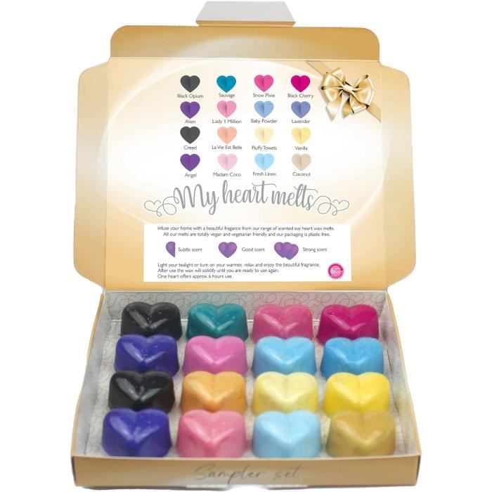 16 Sampler Pack : Coffret Cadeau De Cires Fondues Avec 16 Senteurs ...