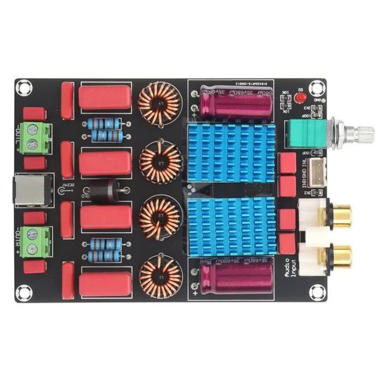 EJ.life Module amplificateur 2x100W TPA3116 - Carte ampli numérique ... EJ.life Module amplificateur 2x100W TPA3116 - Carte ampli numérique ...