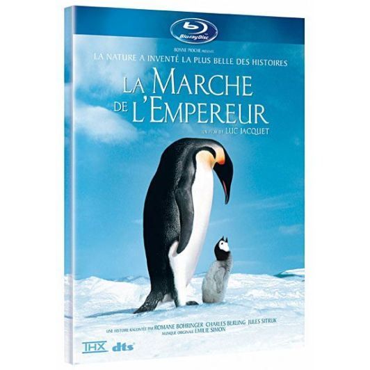 Blu-Ray Le renard et l'enfant - Cdiscount DVD