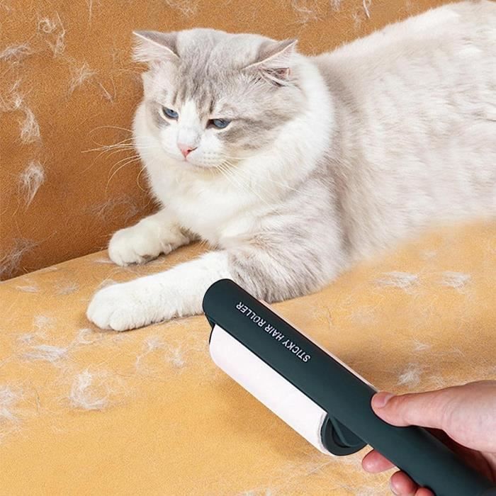 Rouleau à Charpie, Anti-Peluches Amovible pour vêtements avec Boucle ...