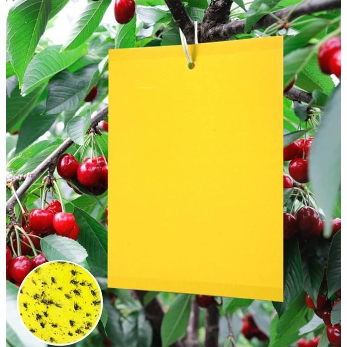 20 Pièges Jaune Mouche Piège Double Face, Pour Insectes Volants - Serre ...