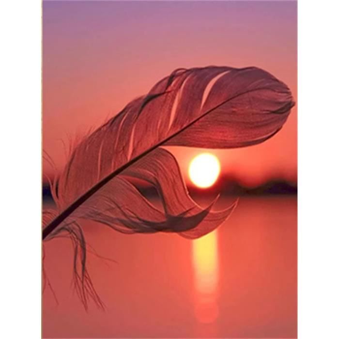 Broderie Diamant Peinture Kit Complet,5D Diamond Painting,Peinture ...