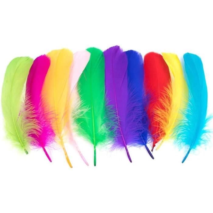 Lot de 100 Plumes doie pour Loisirs Cratifs Attrape-Rves Boucles ...