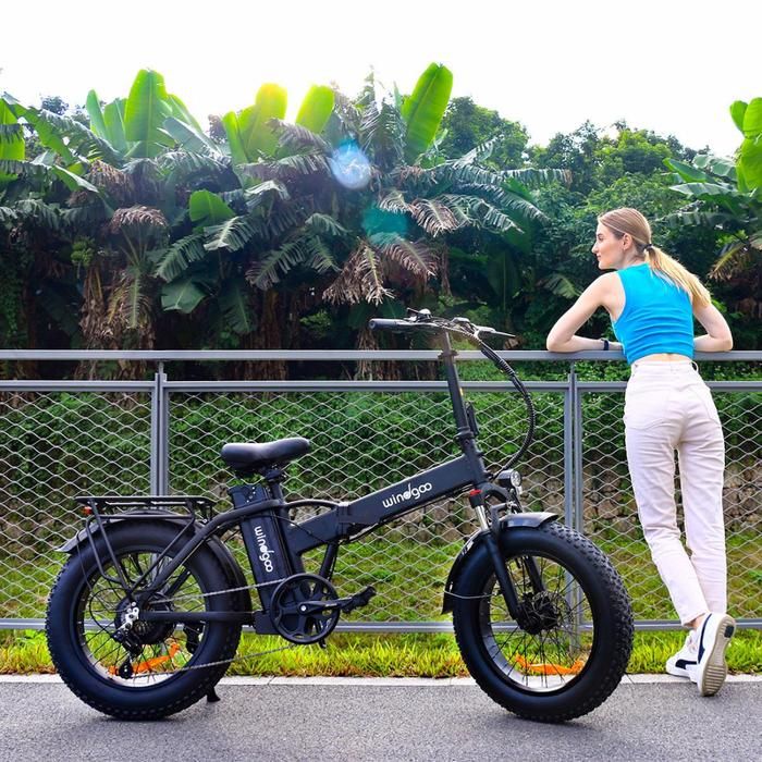 Windgoo F21 PRO Ebike Nouveaux véhicules électriques urbains 250W 48V ...