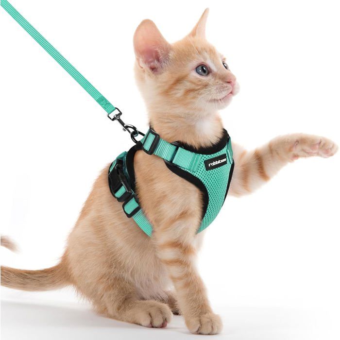 Rabbitgoo Anti Escape Cat Harness with Green Leash XXS, Adjustable ...