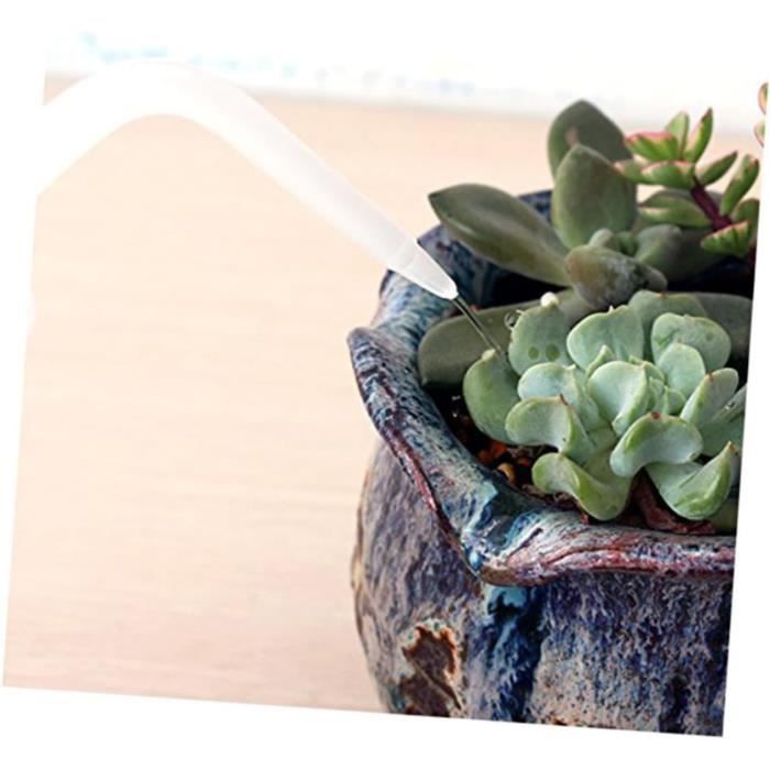 6 Paquets Arrosoir Fleur Succulente Bouteille D'Arrosage Pour Plantes ...