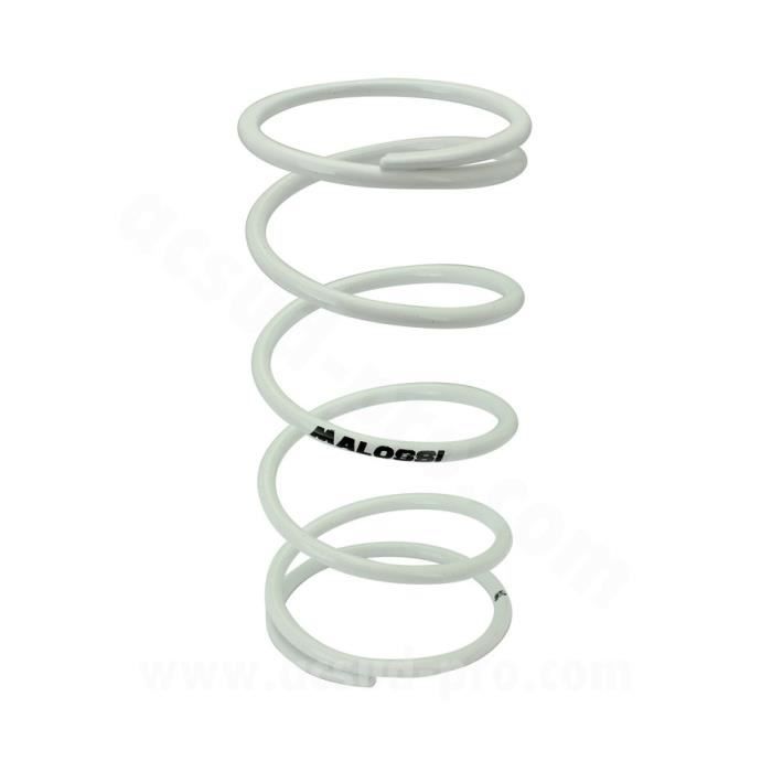 RESSORT VARIATEUR SCOOT MALOSSI POUR MBK 50 BOOSTER / NITRO / YAMAHA 50 ...