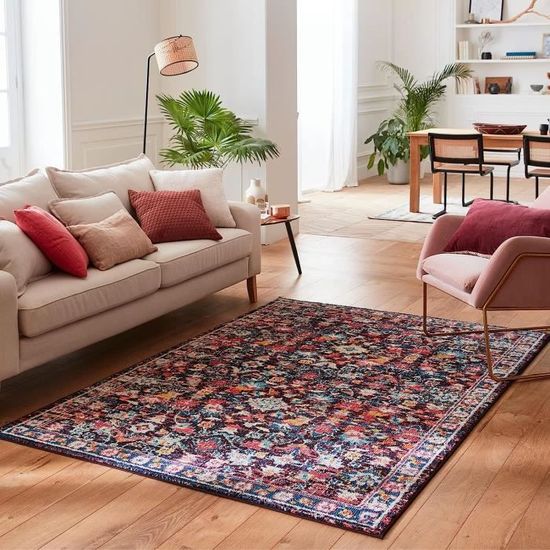 Nazar Tapis de Salon Vintage, Tapis Style Moderne, Tapis à Poils Ras ...