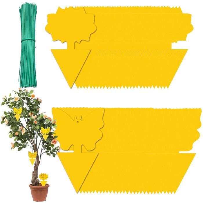 60 Pièces Pièges à Insectes Attrape Mouches à Fruits Jaunes Plante ...