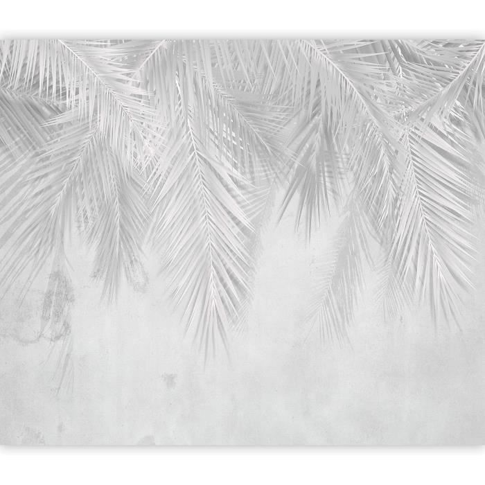 Premium Papier Peint Feuilles Feuillage Tropical 350X256 Cm Décoration ...