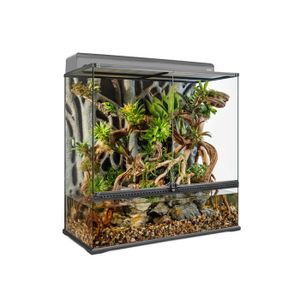 Terrarium - Cdiscount Animalerie