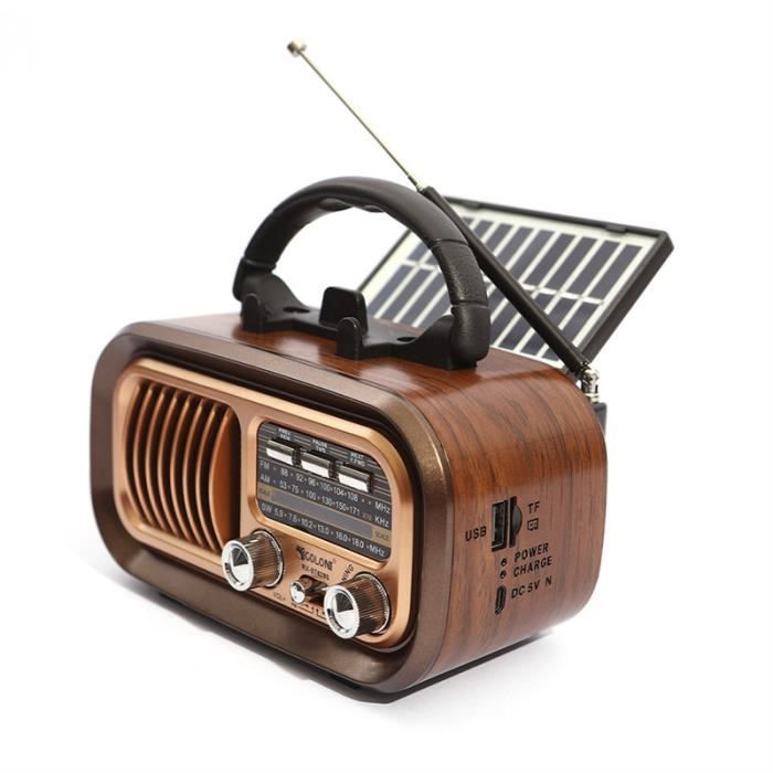 Brown-Radio portative RX-628BTS AM FM actionnée par la radio aste de ...