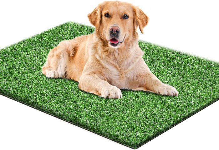 80X100CM Tapis de Gazon Artificiel pour Chien Tapis de Gazon pour ...