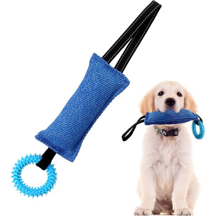 EPODA Jouet Chien Indestructible, Boudin Jouet pour Chien Interactif ...
